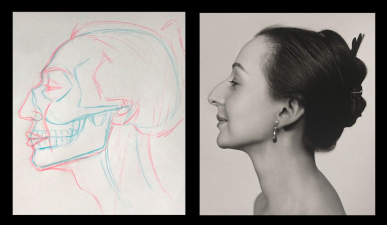 Portrait TRACK: Lesson 2, Skull Inside a Portrait · Art Prof