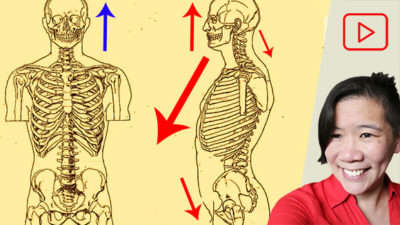 Artistic Anatomy Lecture: Intro for Beginners · Art Prof