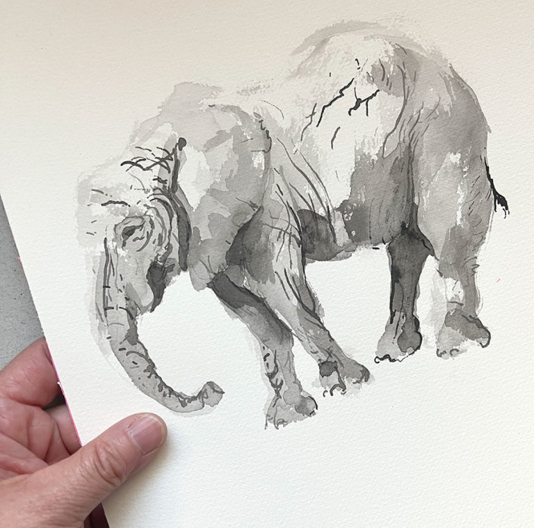 Art School Portfolio: Drawing from Life & Photos · Art Prof