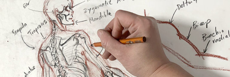 Drawing a Skeleton Inside a Figure · Art Prof