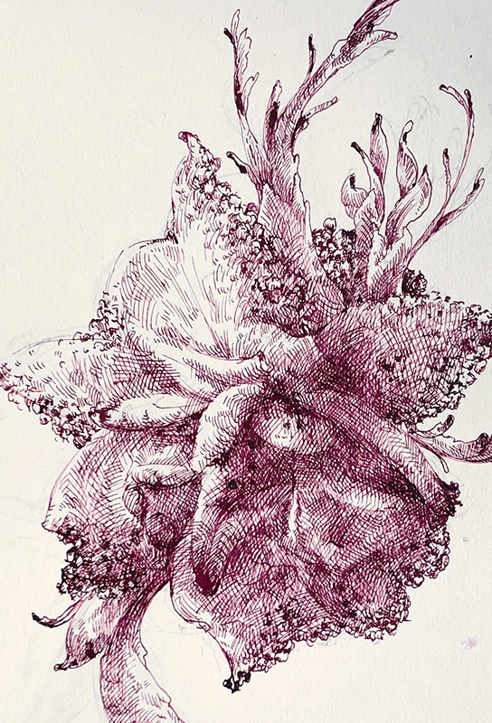 Ink Dip Pen Drawing Sale Prices Dpise2022 dps uminho pt Ink Dip Pen Drawing Sale Prices Dpise2022 dps uminho pt