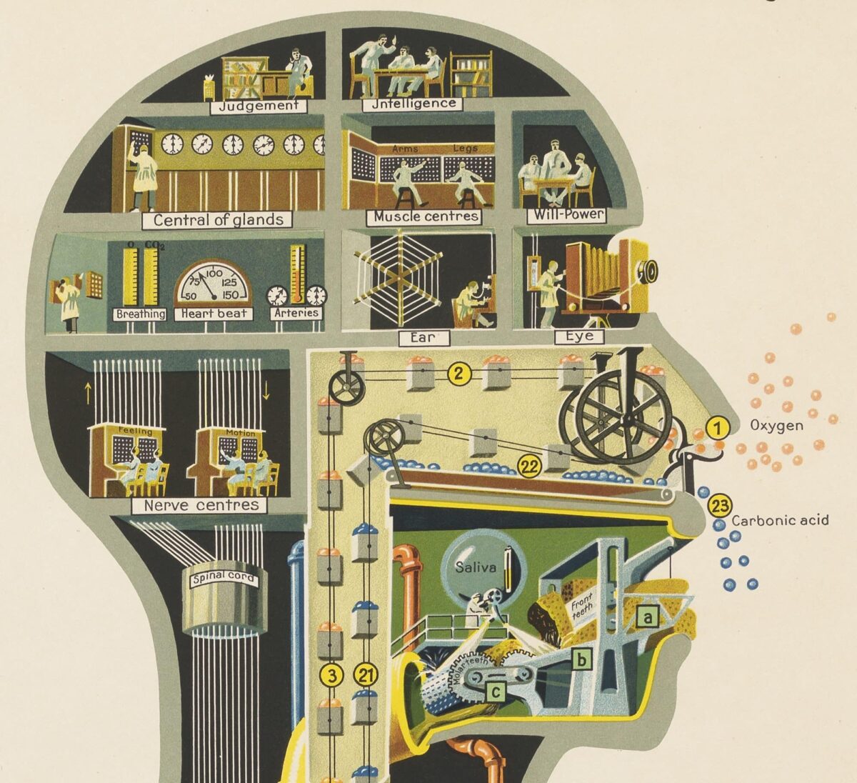 Dec 2023: Visual Map of Your Brain · Art Prof