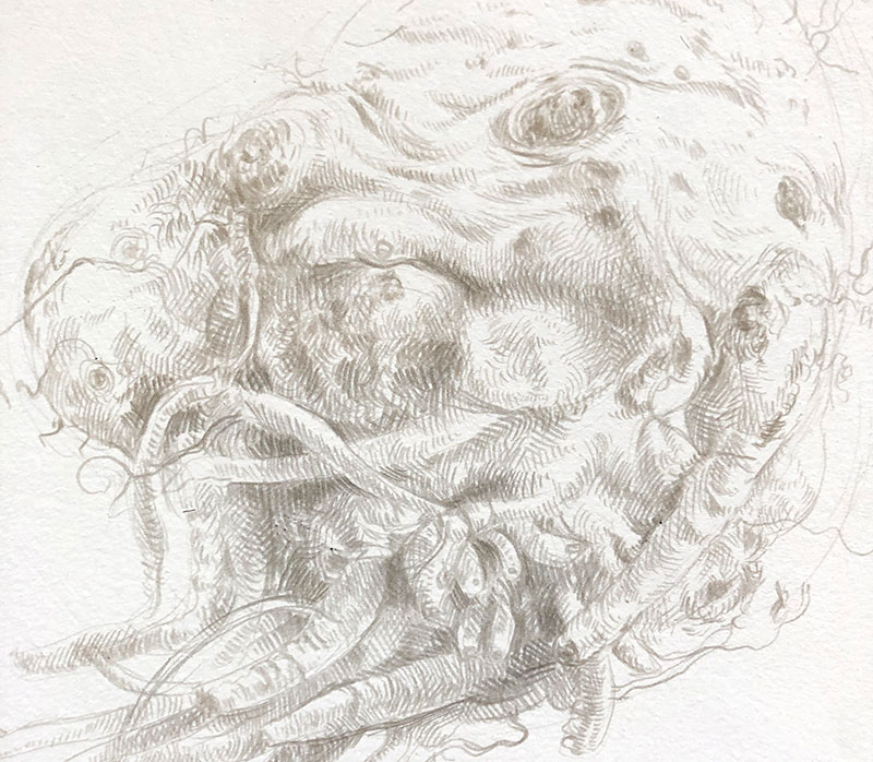 Silverpoint: A Renaissance Drawing Tool · Art Prof